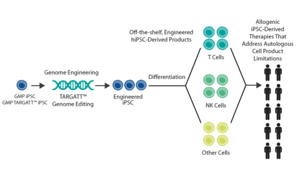 Home - Applied StemCell