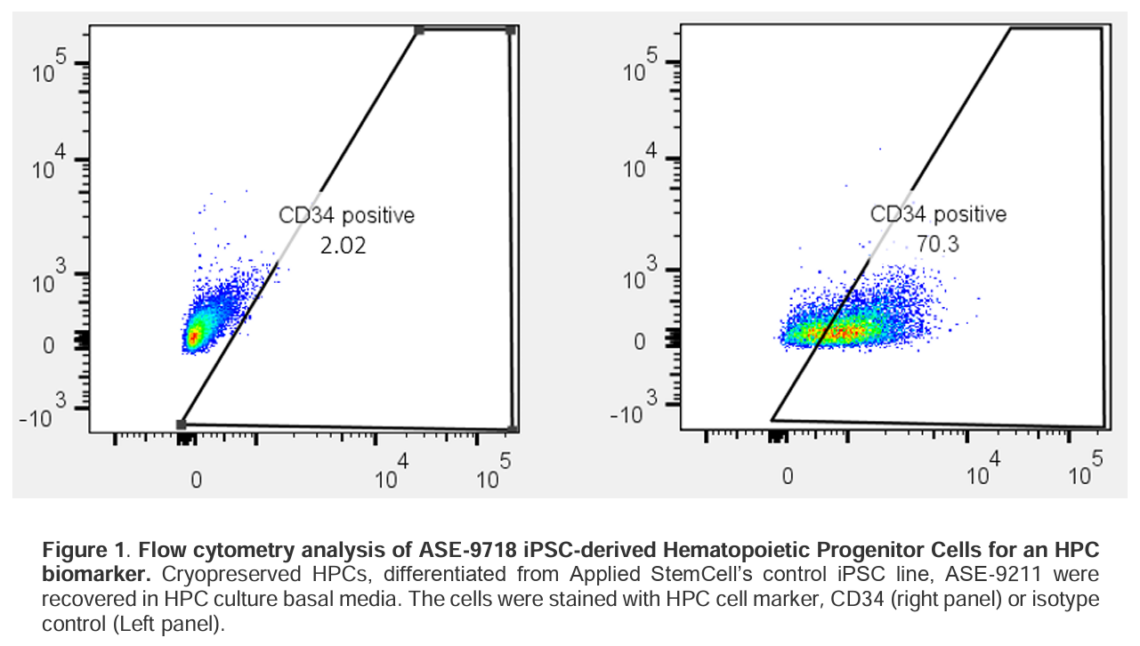 iPSC-Derived Hematopoietic Progenitor Cells With Media - Applied StemCell