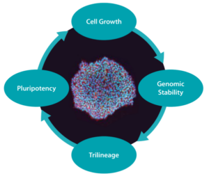 iPSC Lines - Applied StemCell